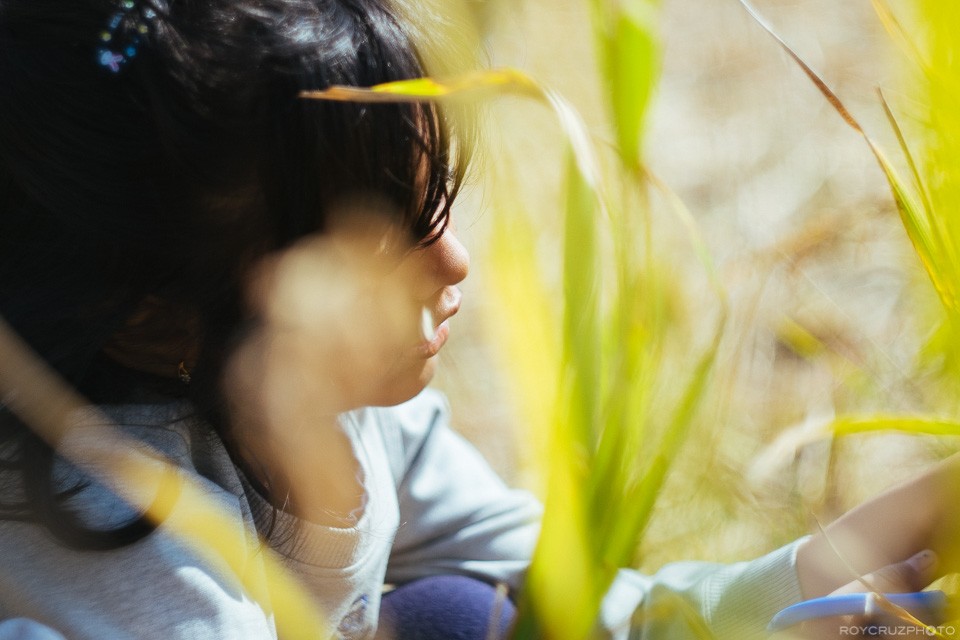 Using Manual Lenses With the Fuji X System – Roy Cruz Photo